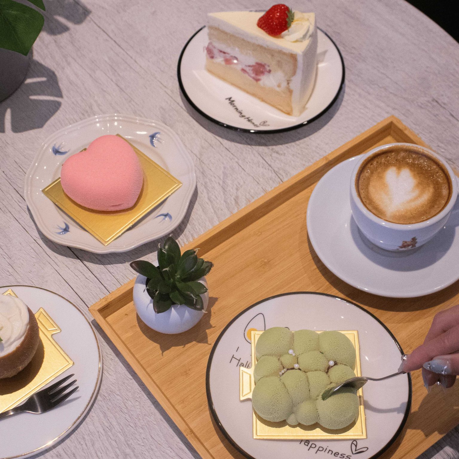 Swallow Cake – CSA